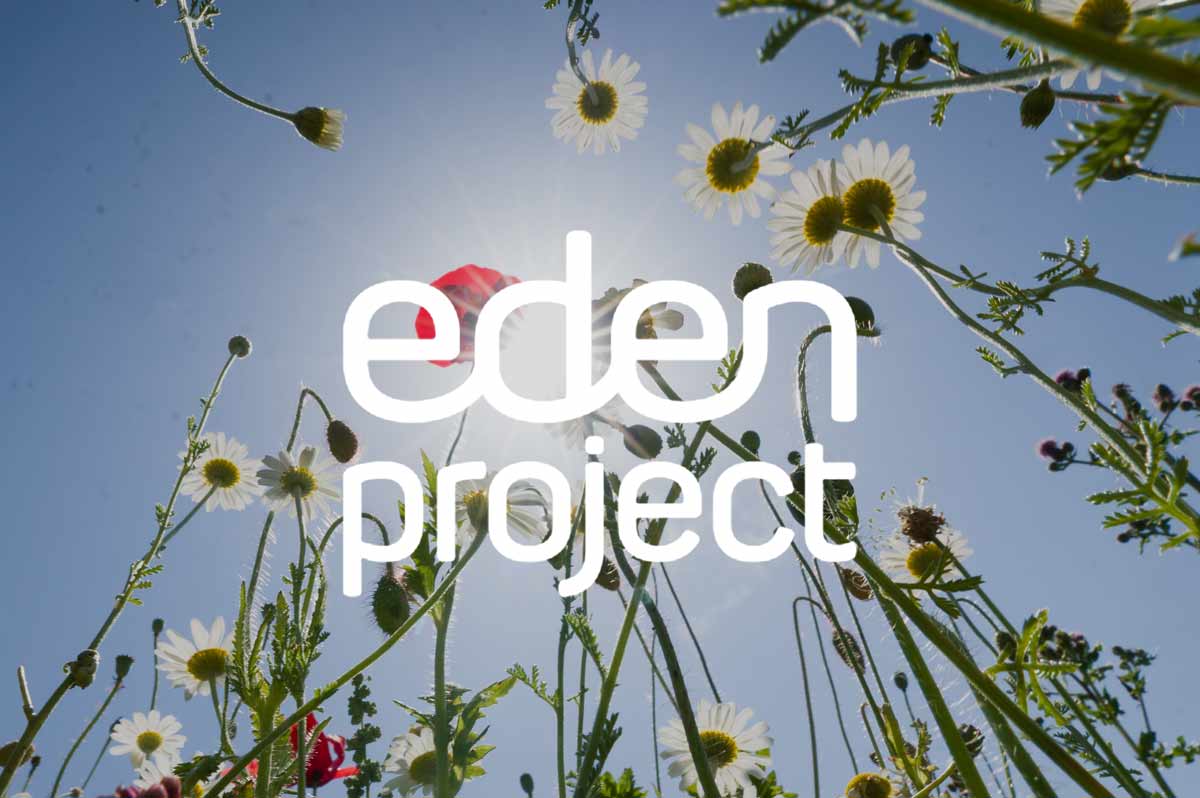 Eden Project’s Wildflowers in Schools – FED | Climate Change